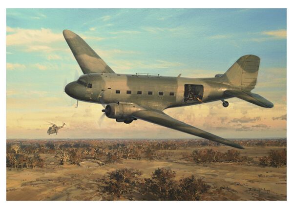 Douglas DC3 SAAF – WingsArtGallery