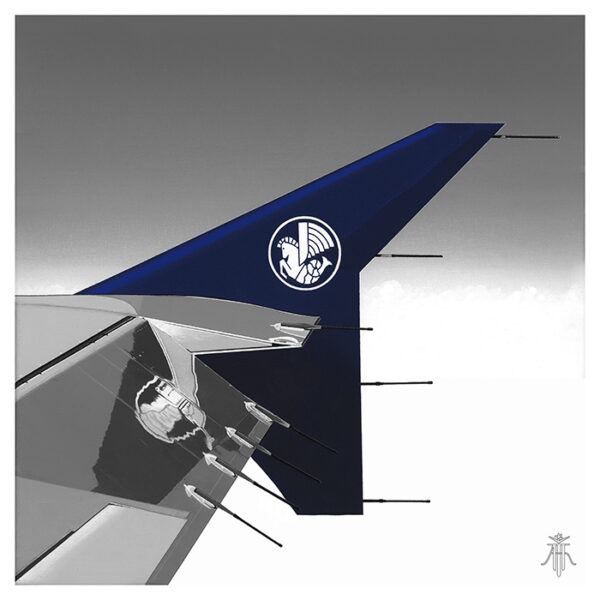 Winglet A319 AIRFRANCE – WingsArtGallery